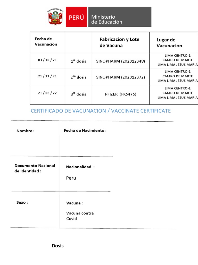 Plantilla Carnet Virtual | PDF