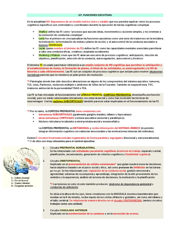 Funciones Ejecutivas | PDF | Las emociones | Memoria de trabajo
