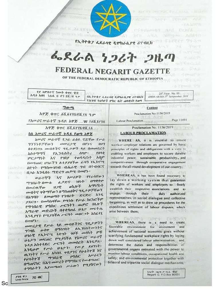 A collection of blank pages scanned by CamScanner | PDF