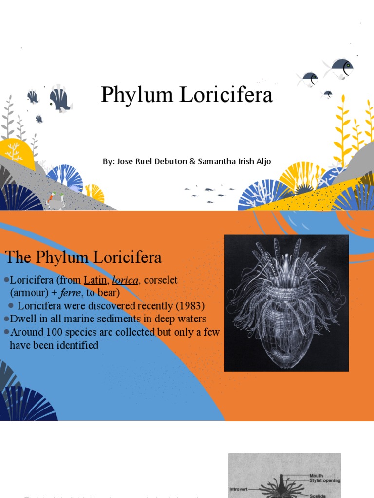 Phylum Loricifera | PDF | Organisms | Biology