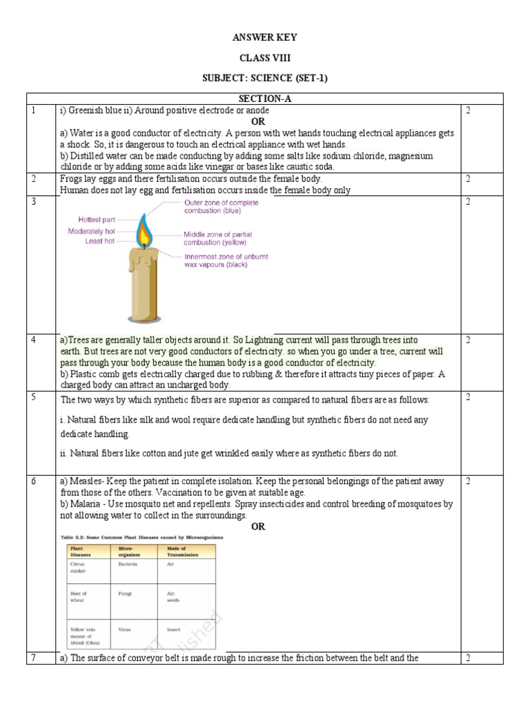 Answer Key Final Term Set 1 Viii 2021 | PDF | Yeast | Fires