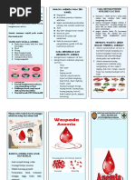 Leaflet Anemia | PDF