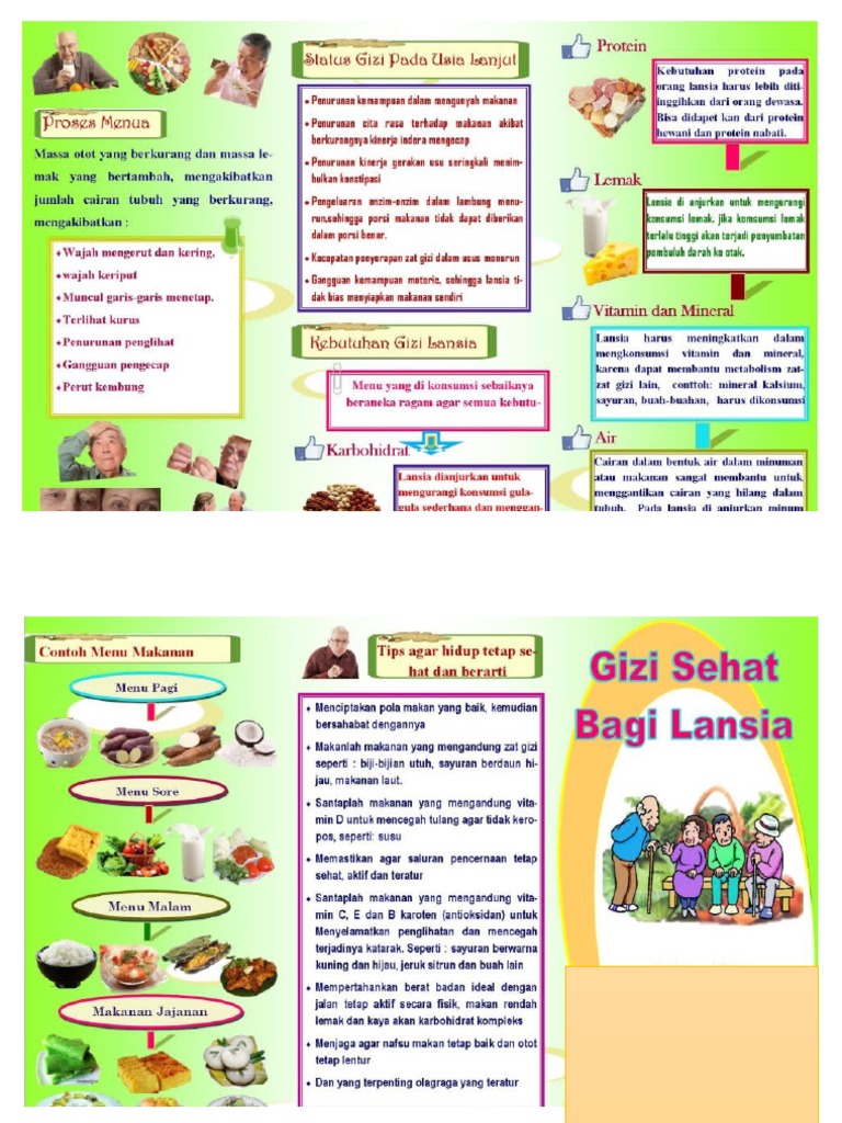 Leaflet Gizi Lansia | PDF