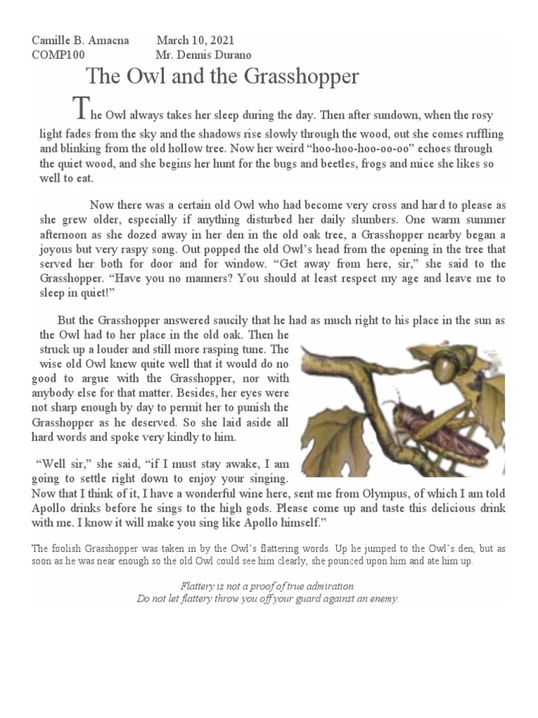 The Owl and The Grasshopper | PDF