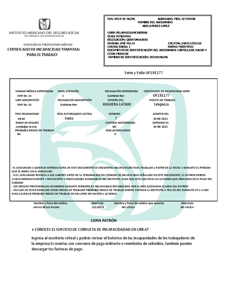 Formato de Incapacidad IMSS Detallado | PDF