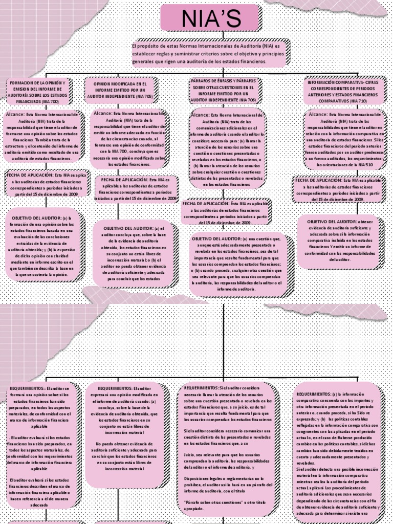 Mapa Conceptual Nias | PDF | Auditoría | Contralor