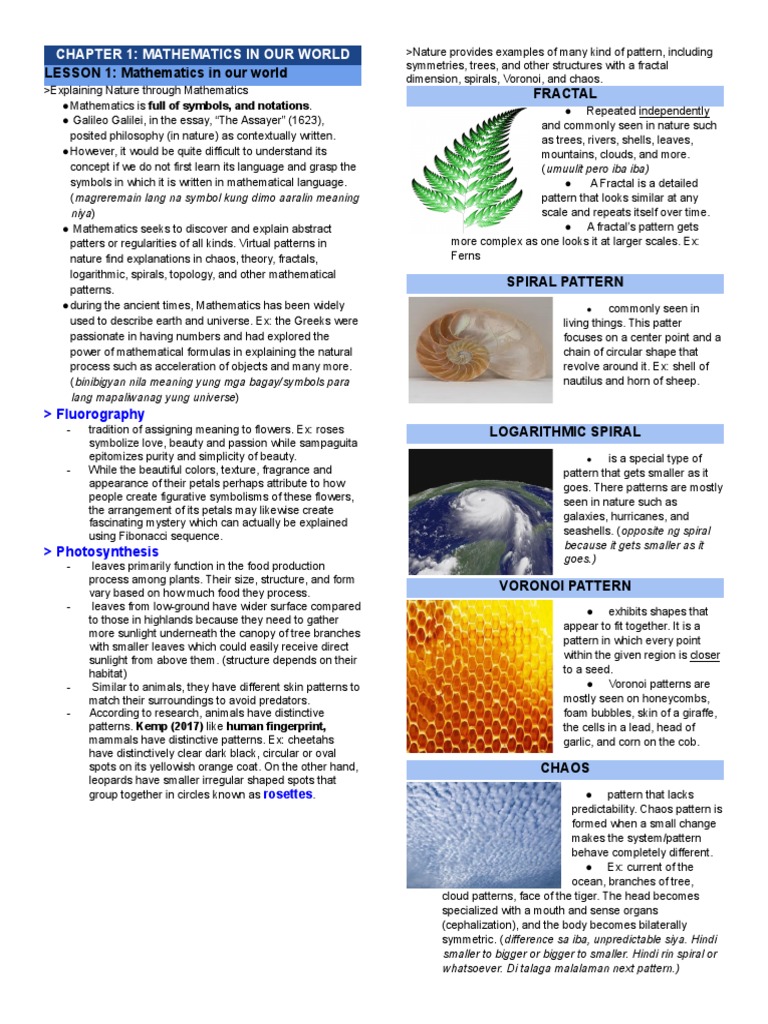 MMW Trans Chap1-3 | PDF | Argument | Deductive Reasoning
