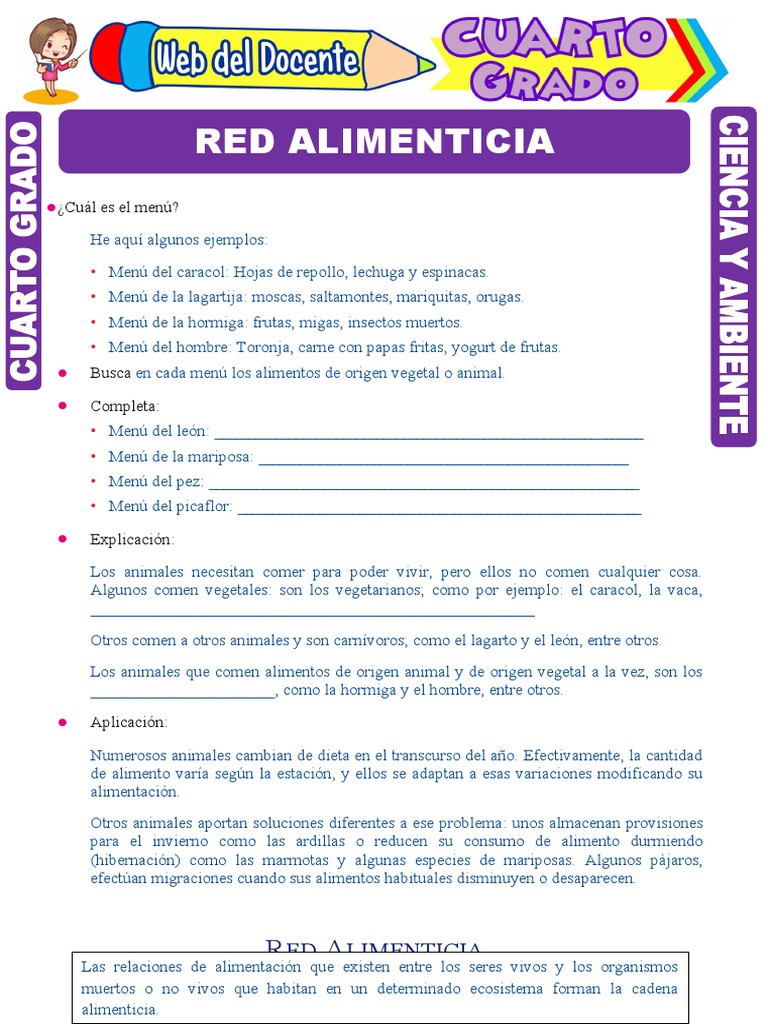 Red Alimenticia | PDF | Alimentos | Red alimentaria