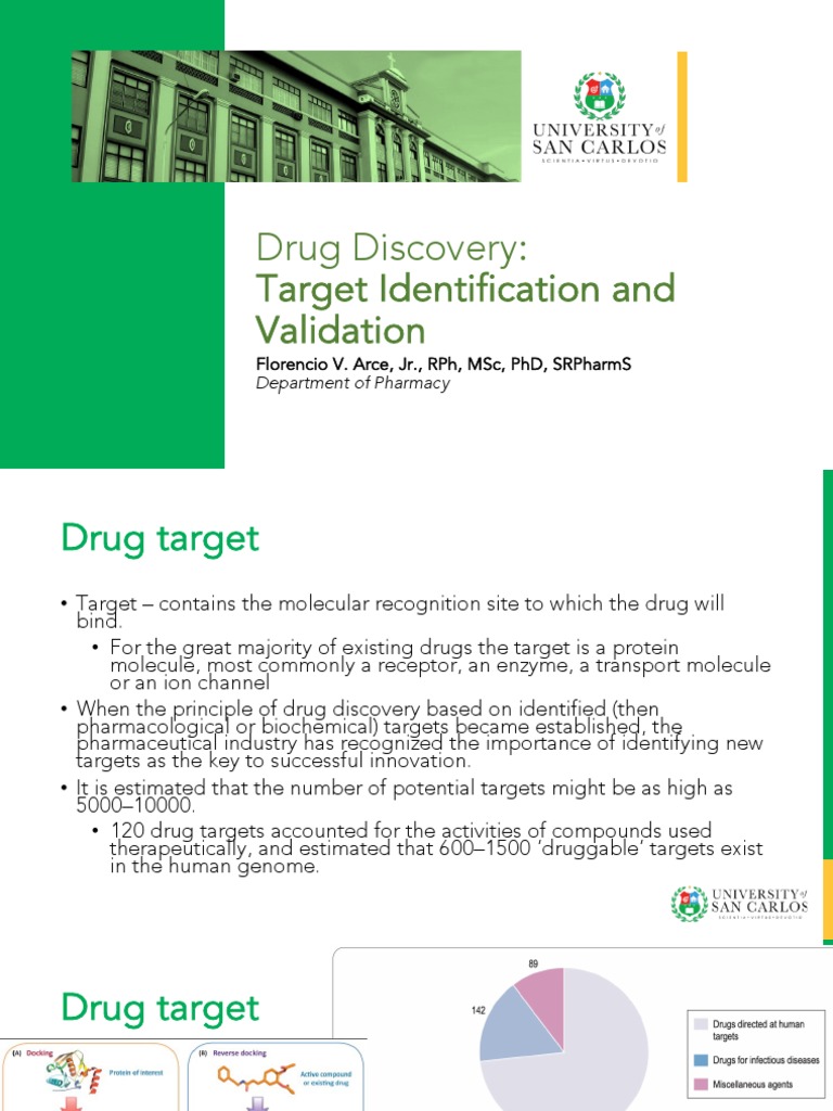 Target Identification and Validation | PDF | Rna Interference | Gene ...