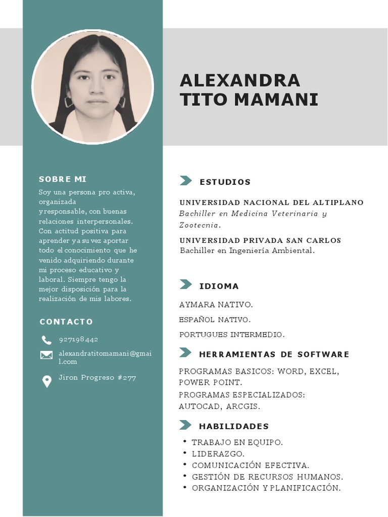 CV Alexandra Tito | PDF | Business