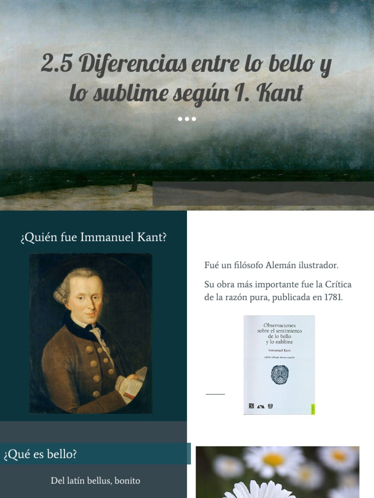 Diferencias entre lo bello y lo sublime | PDF | Immanuel Kant | Belleza