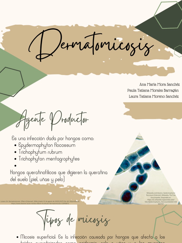 Tratamiento y Prevención de Dermatomicosis | PDF | Medicina CLINICA ...