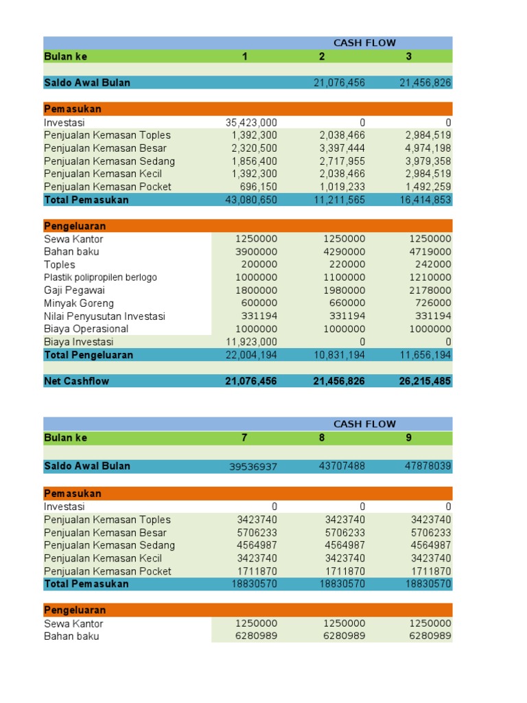 Cash Flow Analysis and Projections | PDF