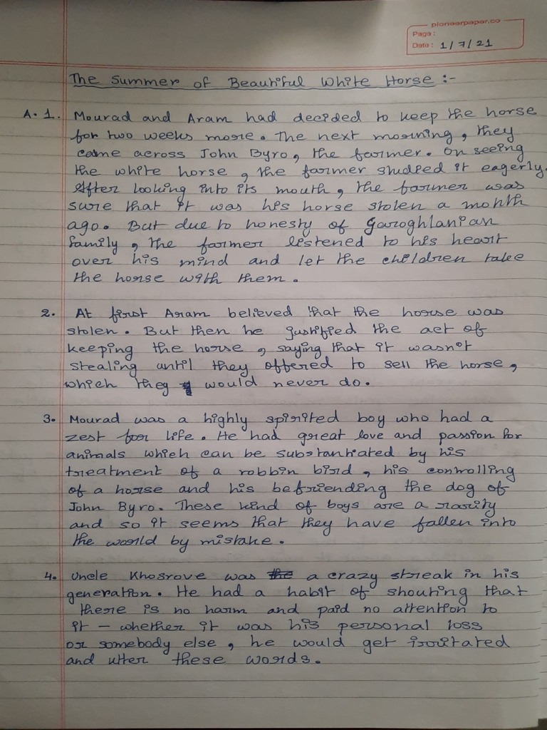 The Summer of The Beautiful White Horse - Q&A | PDF