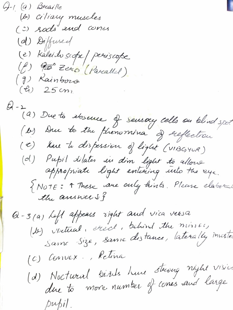Chapter 16 Answer Key | PDF