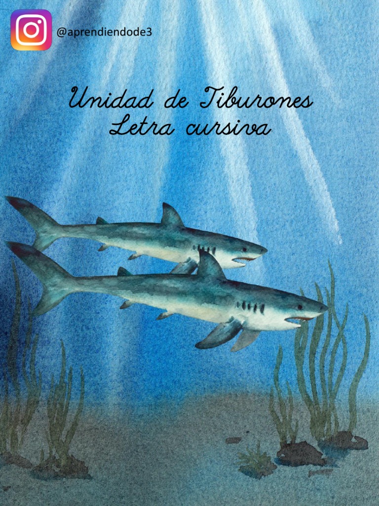 Estudio de Tiburones 2.0 - Aprendiendode3 | PDF | Tiburones | Gran ...