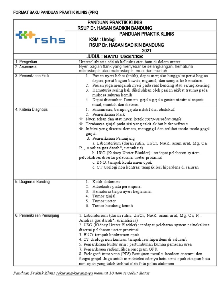 PPK Batu Ureter Fix | PDF