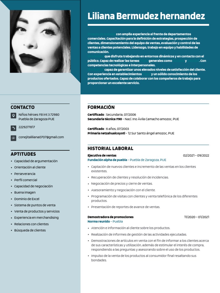 Liliana Bermudezhernandez CV | PDF | Cliente | Economias