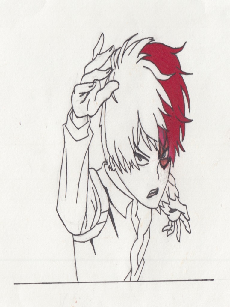 Shoto Todoroki | PDF