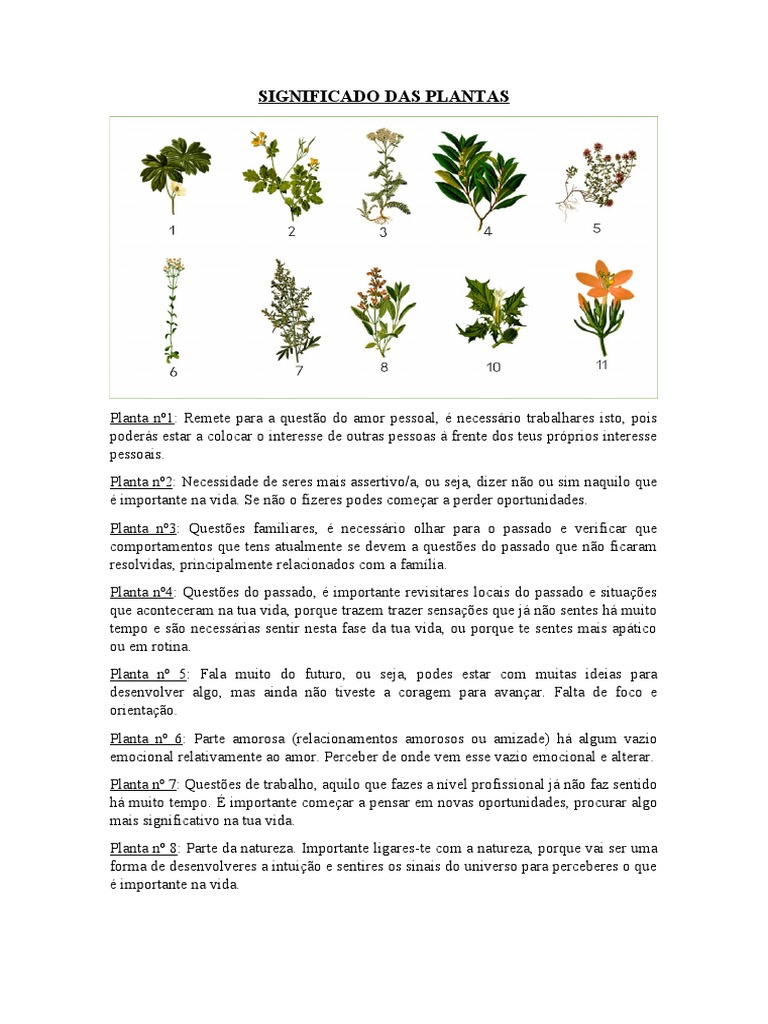 Significado Das Plantas | PDF