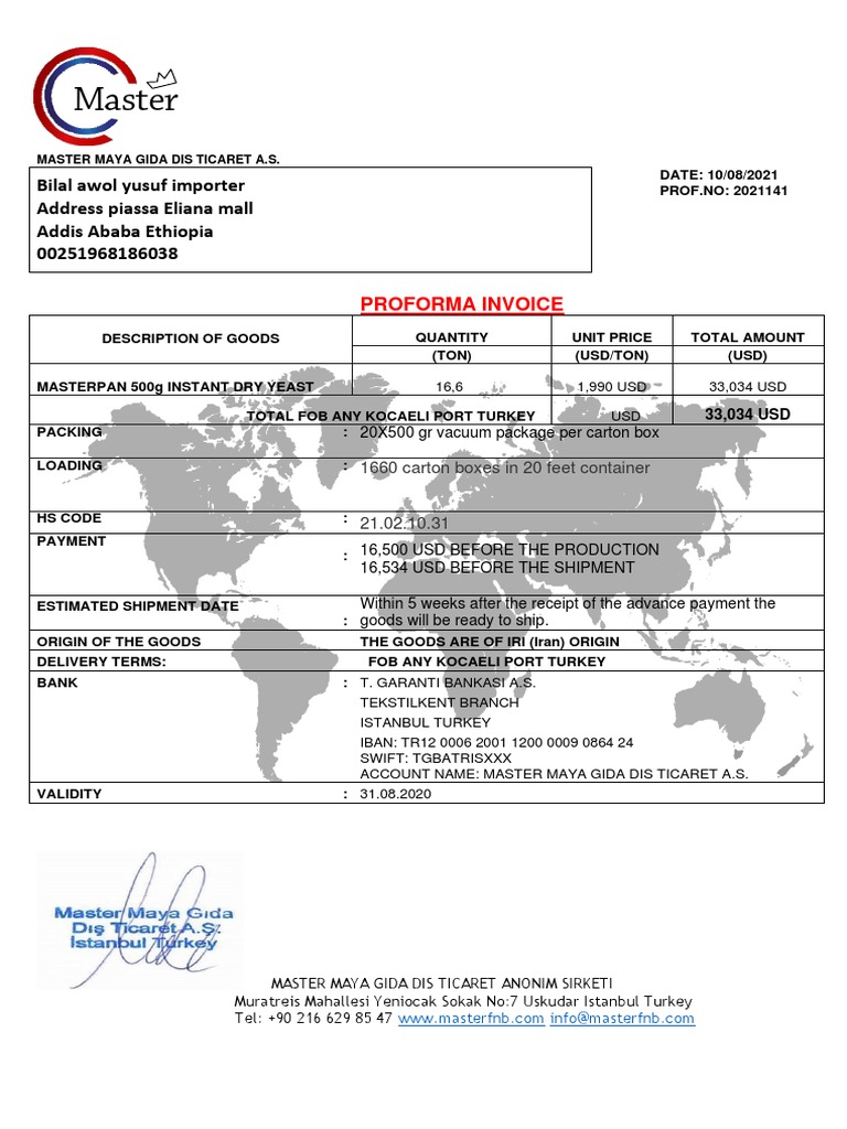 Ethiopia Proforma Invoice | PDF