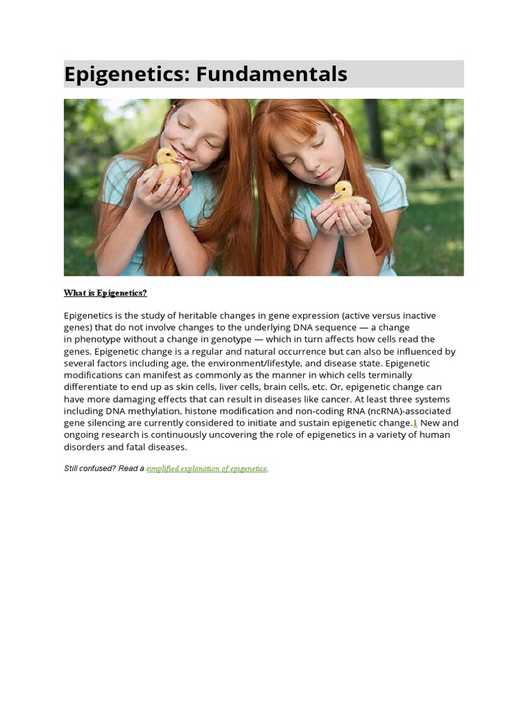 Written Assign What Is Epigenetics | PDF | Epigenetics | Genetics