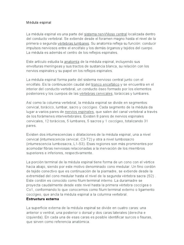Médula Espinal | PDF | Médula espinal | Materia gris