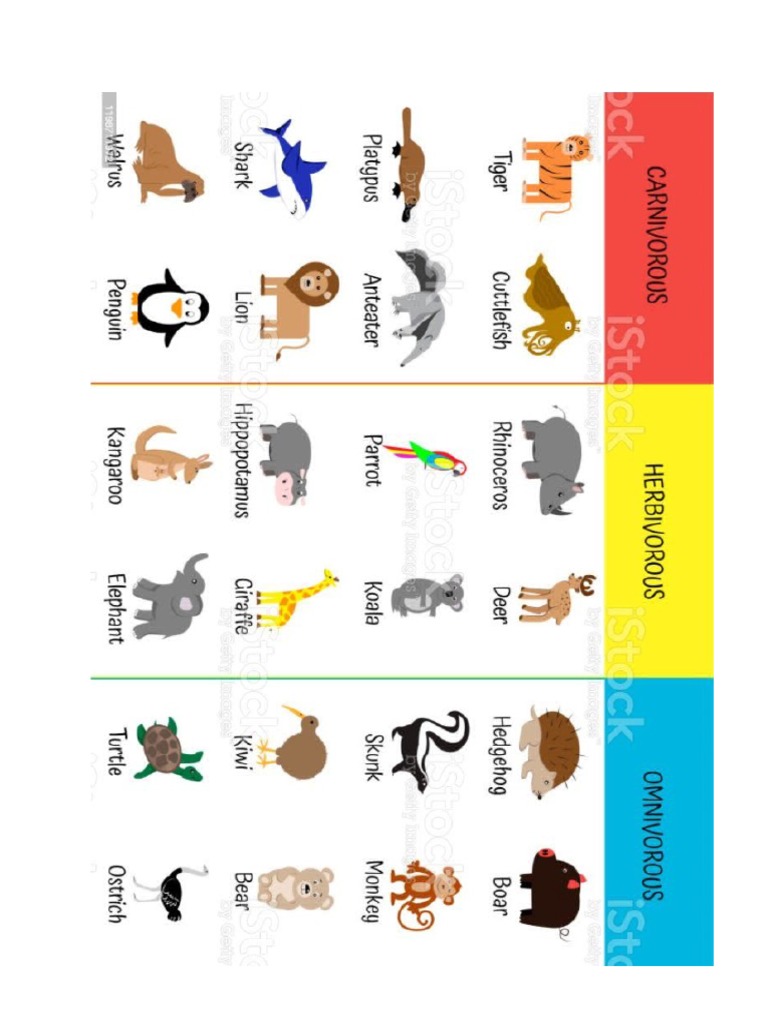 Animales Carnívoros Herbívoros y Omnivoros | PDF
