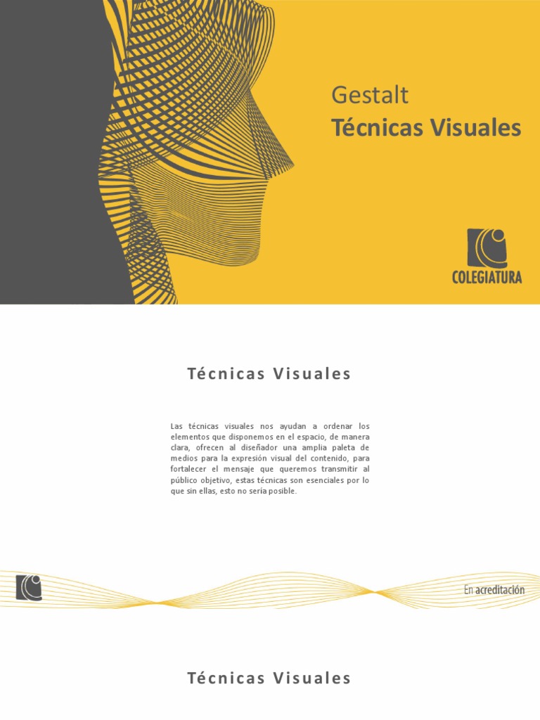 Presentacion 6 Técnicas Visuales | PDF