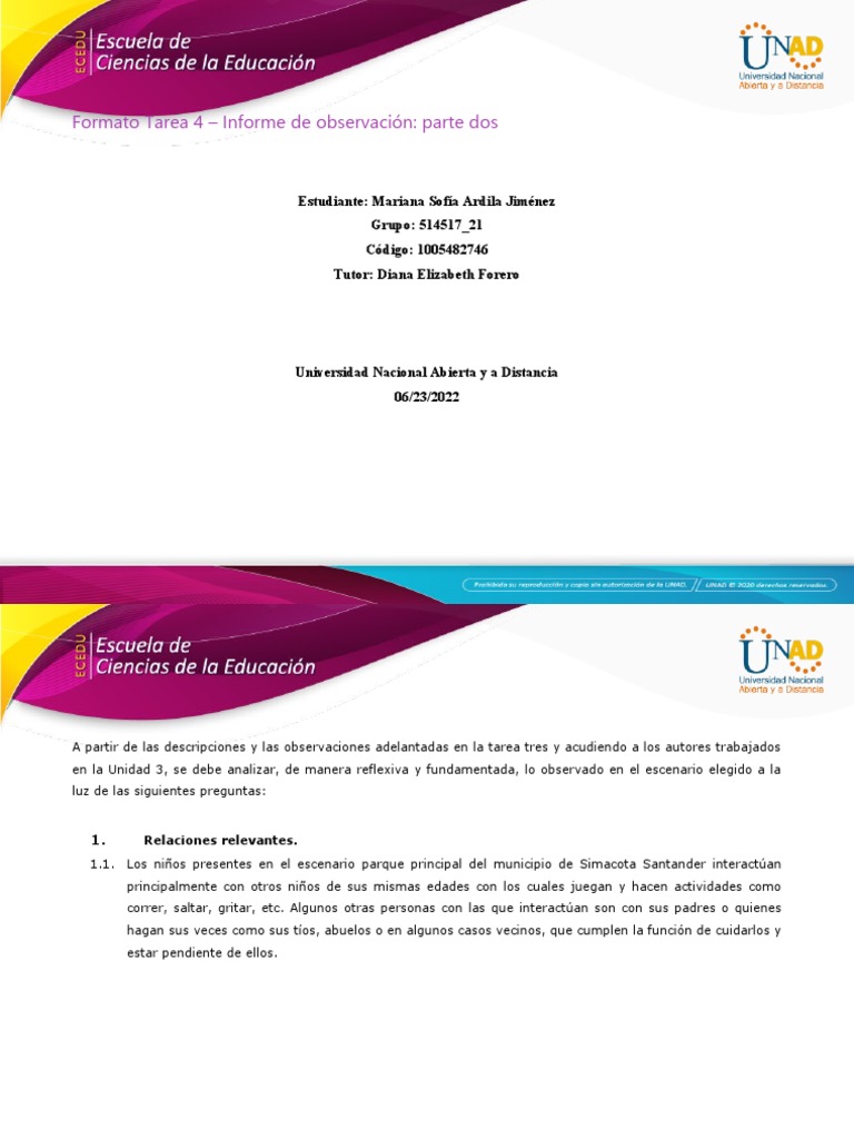 Formato Tarea 4 MARIANA SOFIA ARDILA JIMENEZ | PDF