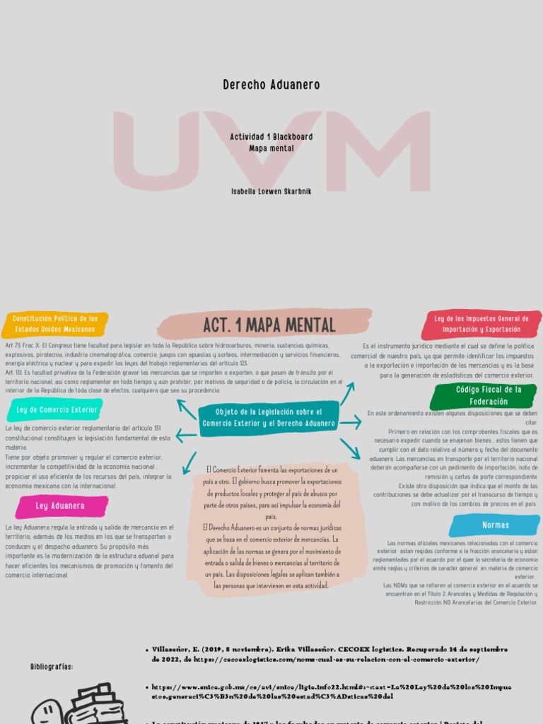 Act.1 Mapa Mental | PDF | Arancel | El comercio internacional