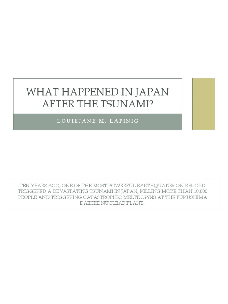 What Happened in Japan After The Tsunami | PDF