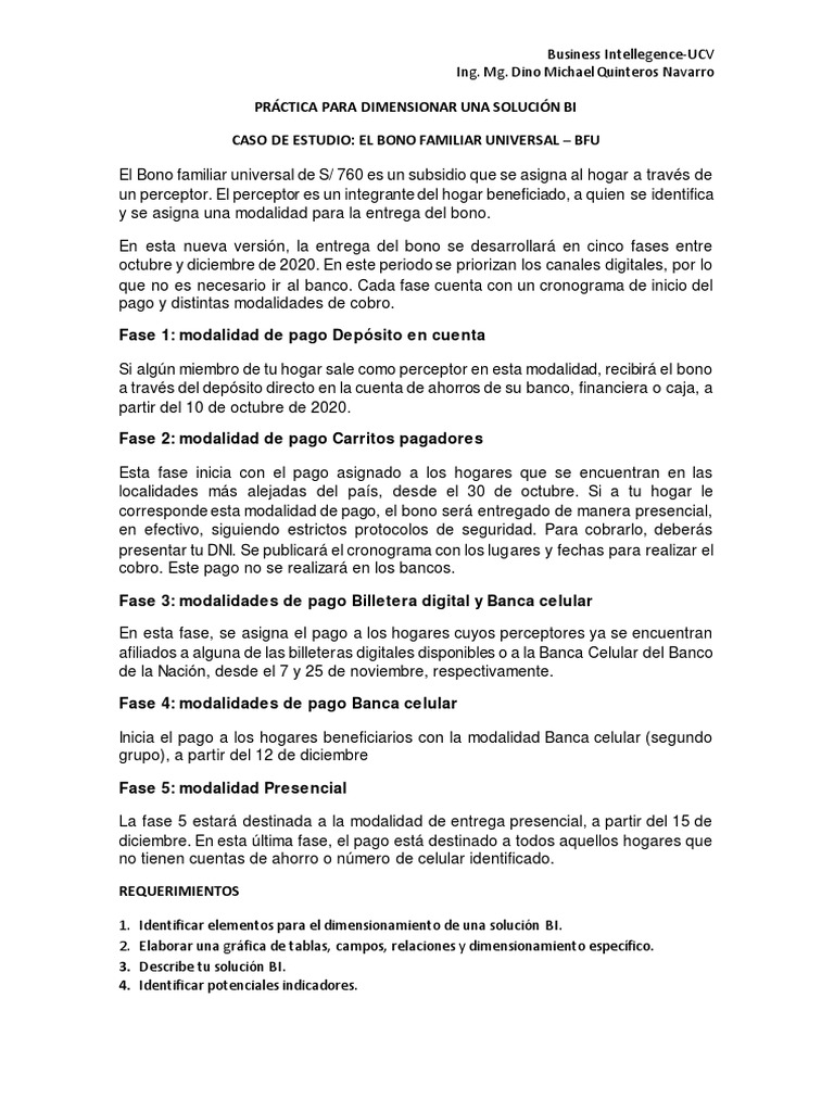 Solución BI para Bono Familiar Universal | PDF
