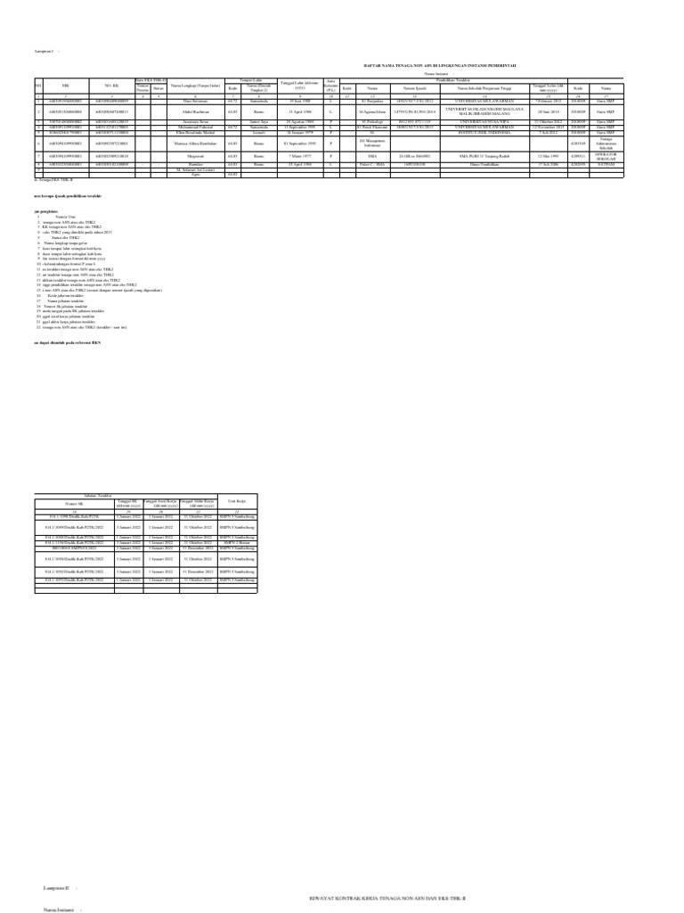 Format BKN Pendataan Non-ASN | PDF