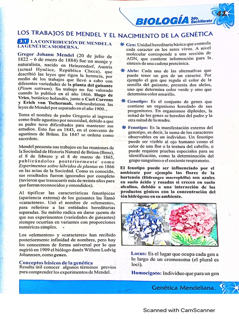 Genética Mendeliana | PDF