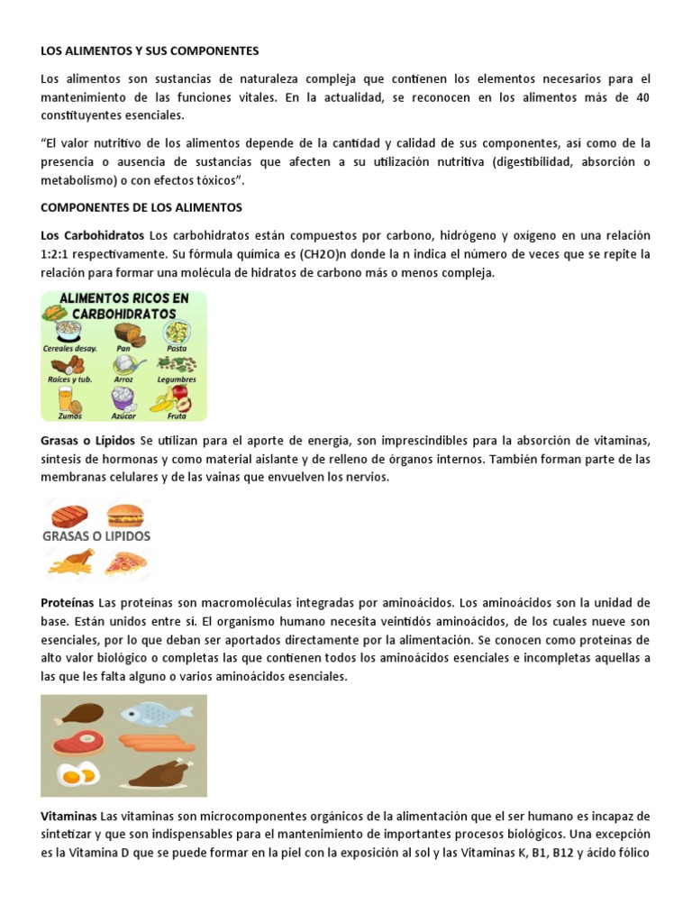 Los Alimentos y Sus Componentes | PDF | Alimentos | Carbohidratos