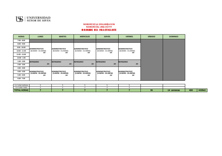 Formato Horario de Permanencia en El CPPP | PDF