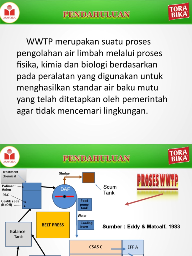 PROSES WWTP Fajar | PDF