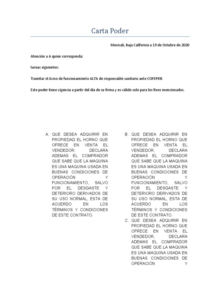 Carta Poder Persona | PDF