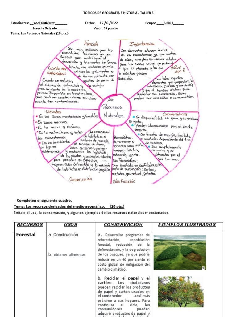 Taller sobre Recursos Naturales UTP | PDF | Minería | Los bosques