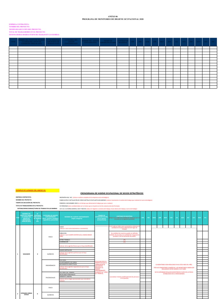 ANEXO 06 Programa de Monitoreo de Higiene Ocupacional 2020 | PDF | Factores humanos y ergonomía ...