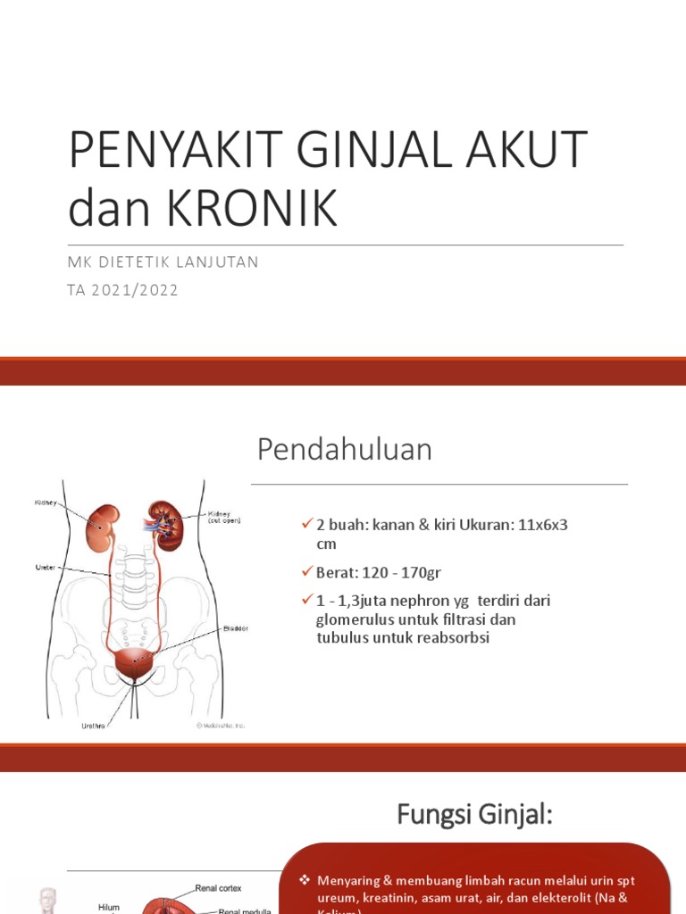 Diet untuk Gagal Ginjal Akut dan Kronik | PDF