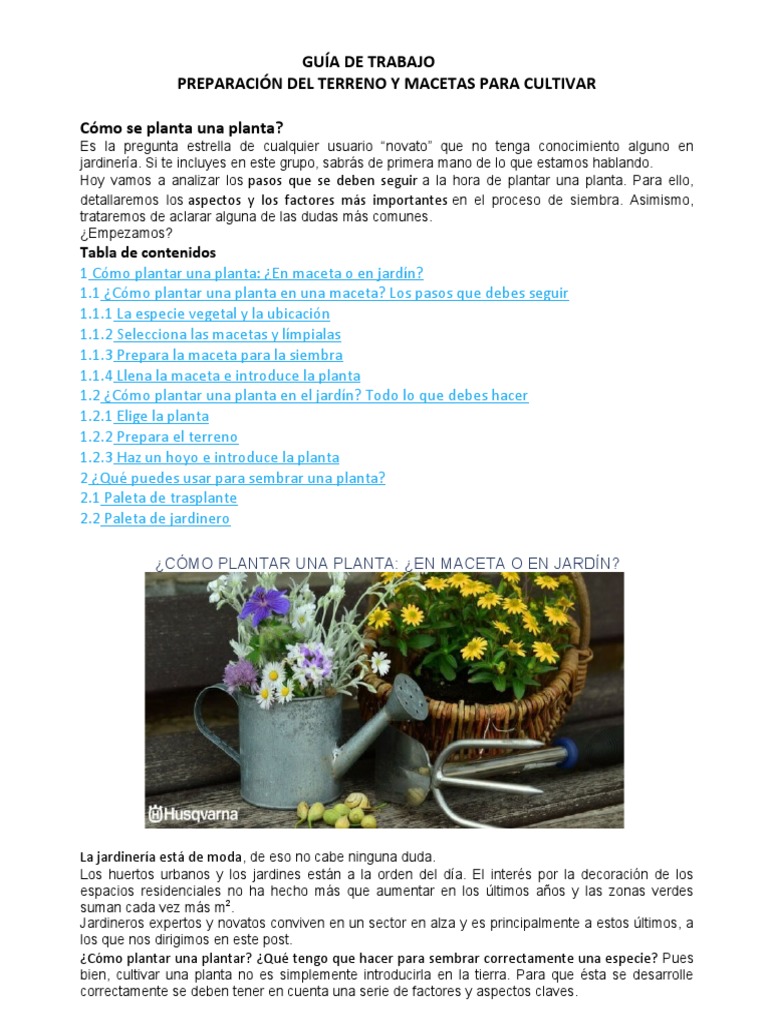 Cómo Se Planta Una Planta | PDF | Siembra | Plantas