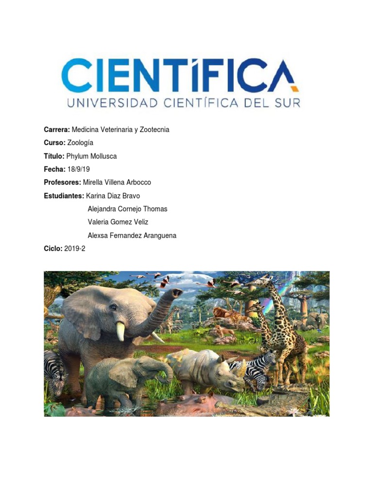 DíazBravoKarina PhylumMollusca 2B2 25setiembre2019 | PDF | Biología ...