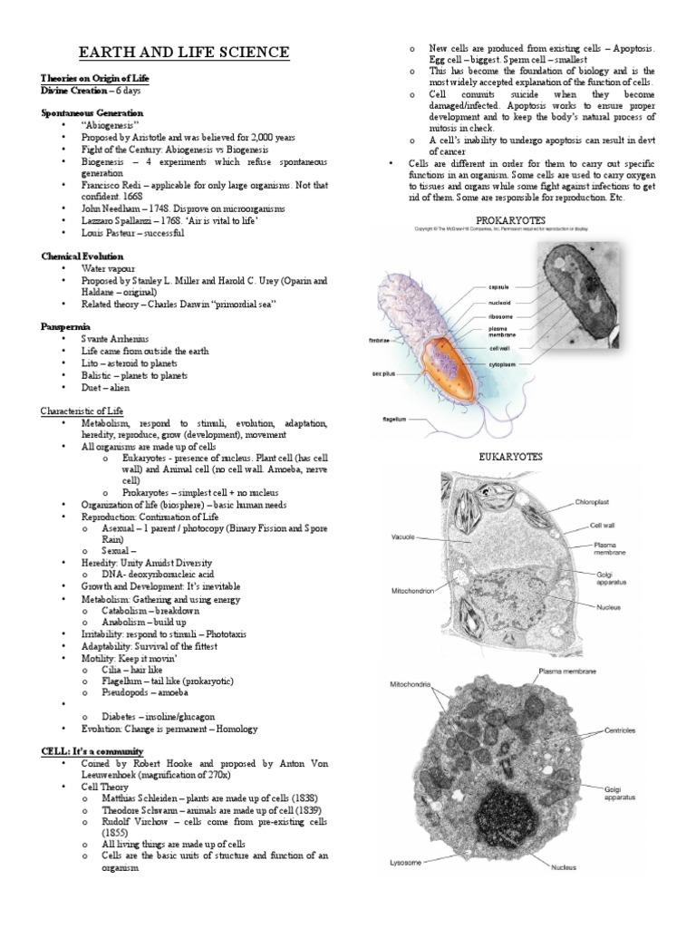 ELS Reviewer | PDF | Cell (Biology) | Meiosis