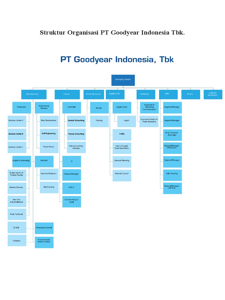 Struktur Organisasi PT Goodyear Indonesia TBK | PDF