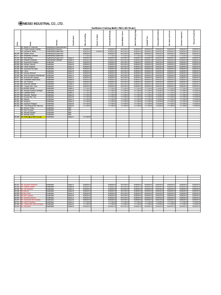Scaffolders Training Matrix | PDF | Scaffolding | Procedural Knowledge