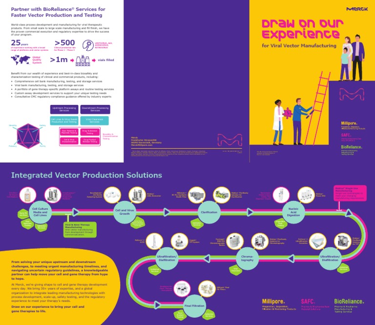 VVT Process Flow Overview Brochure | PDF | Viral Vector | Life Sciences