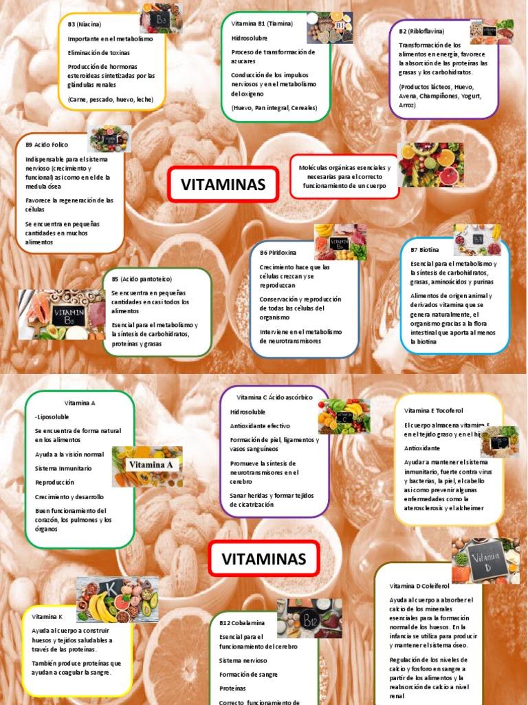 Vitaminas | PDF | Metabolismo | Vitamina