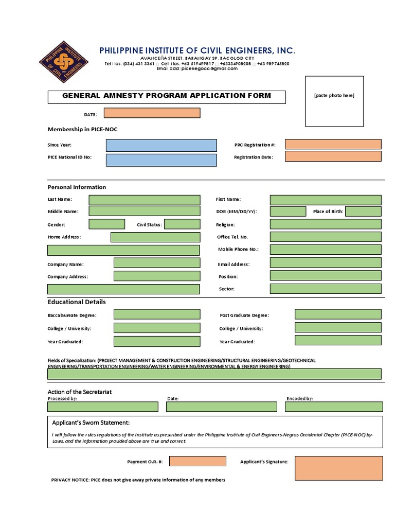 PICE R1 Amnesty Form | PDF
